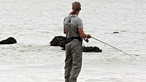 La pasturazione con le boiles: trucchi di pesca sportiva